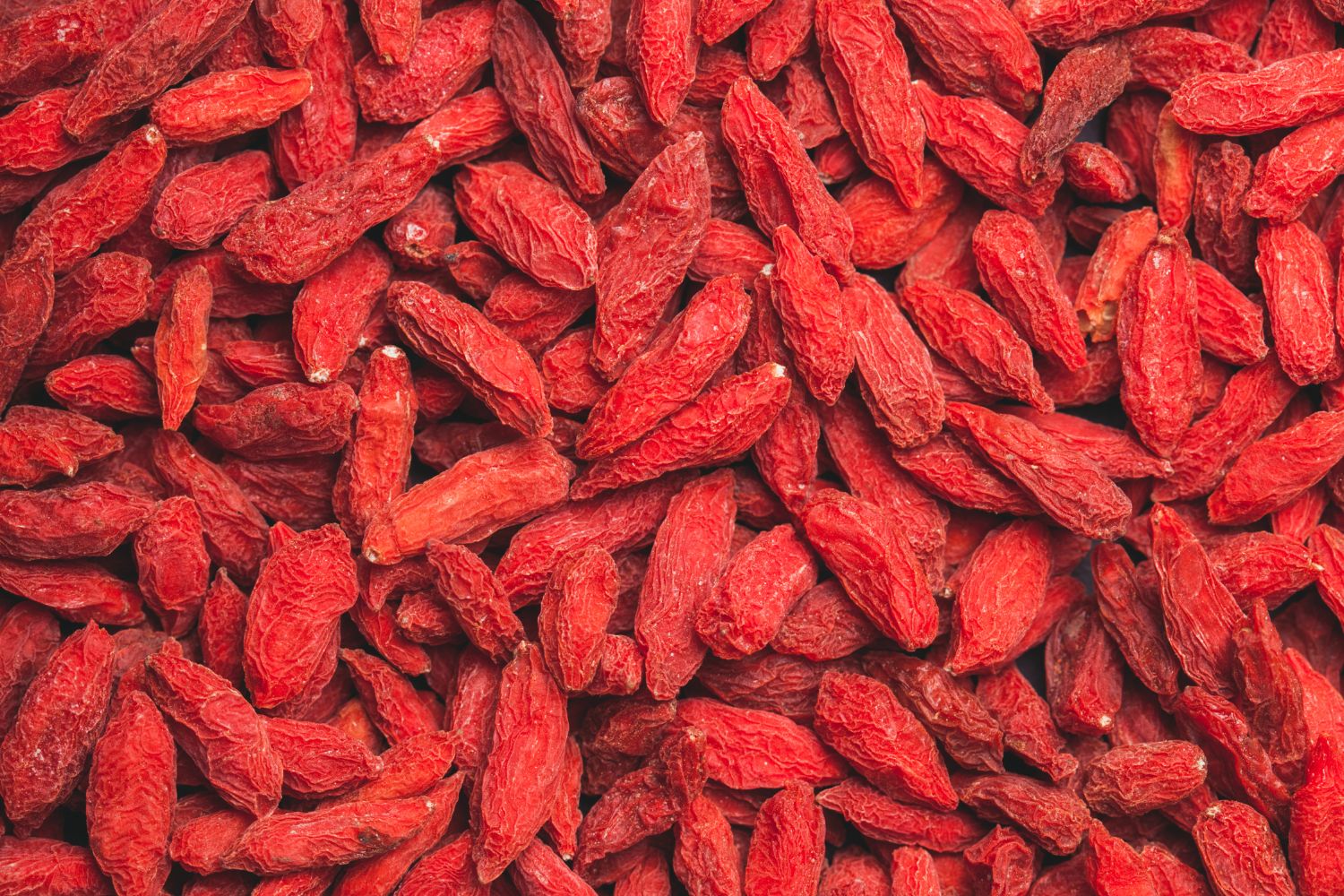 Goji : Propriétés, Bienfaits et Applications en Phytothérapie - France ...