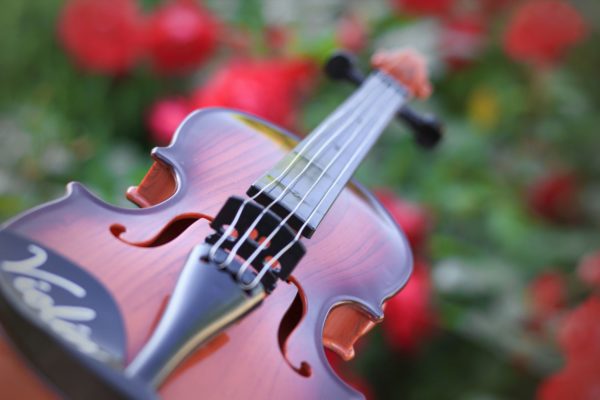 Fiddle - Guide des Instruments de Musique de A à Z - Musicothérapie ...